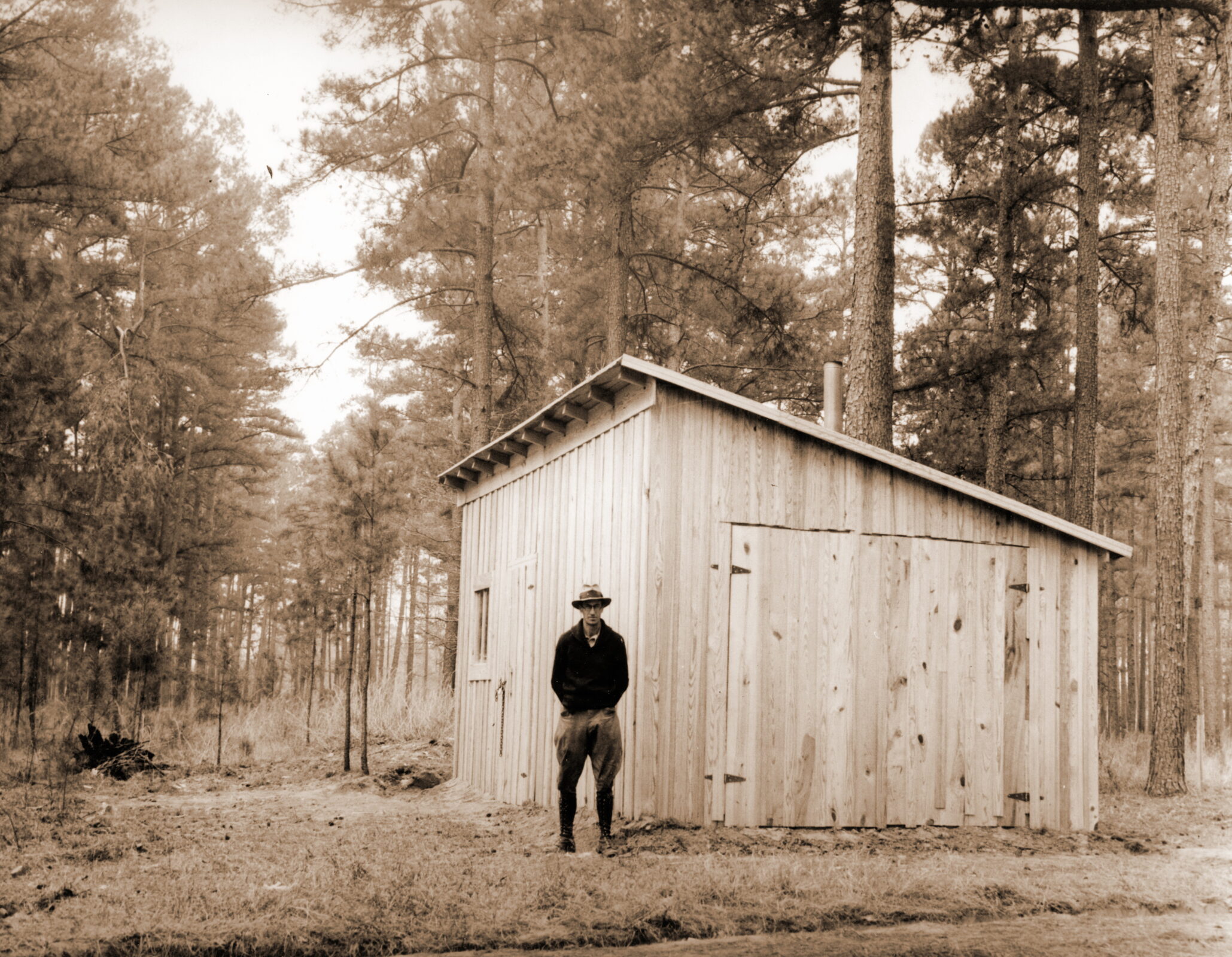 Explore Historical US Forest Service Records - Roosevelt