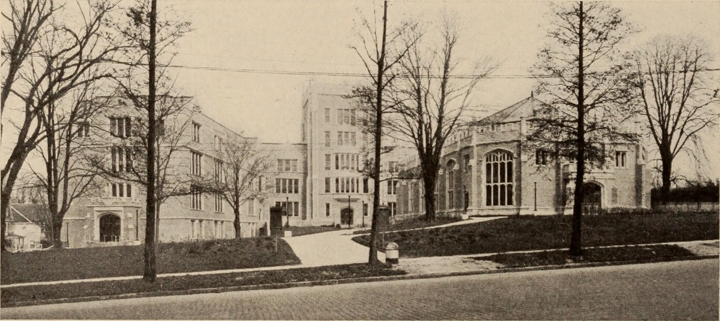 Knickerbocker Renaissance: Dutch Schools and Slavery in the Early ...